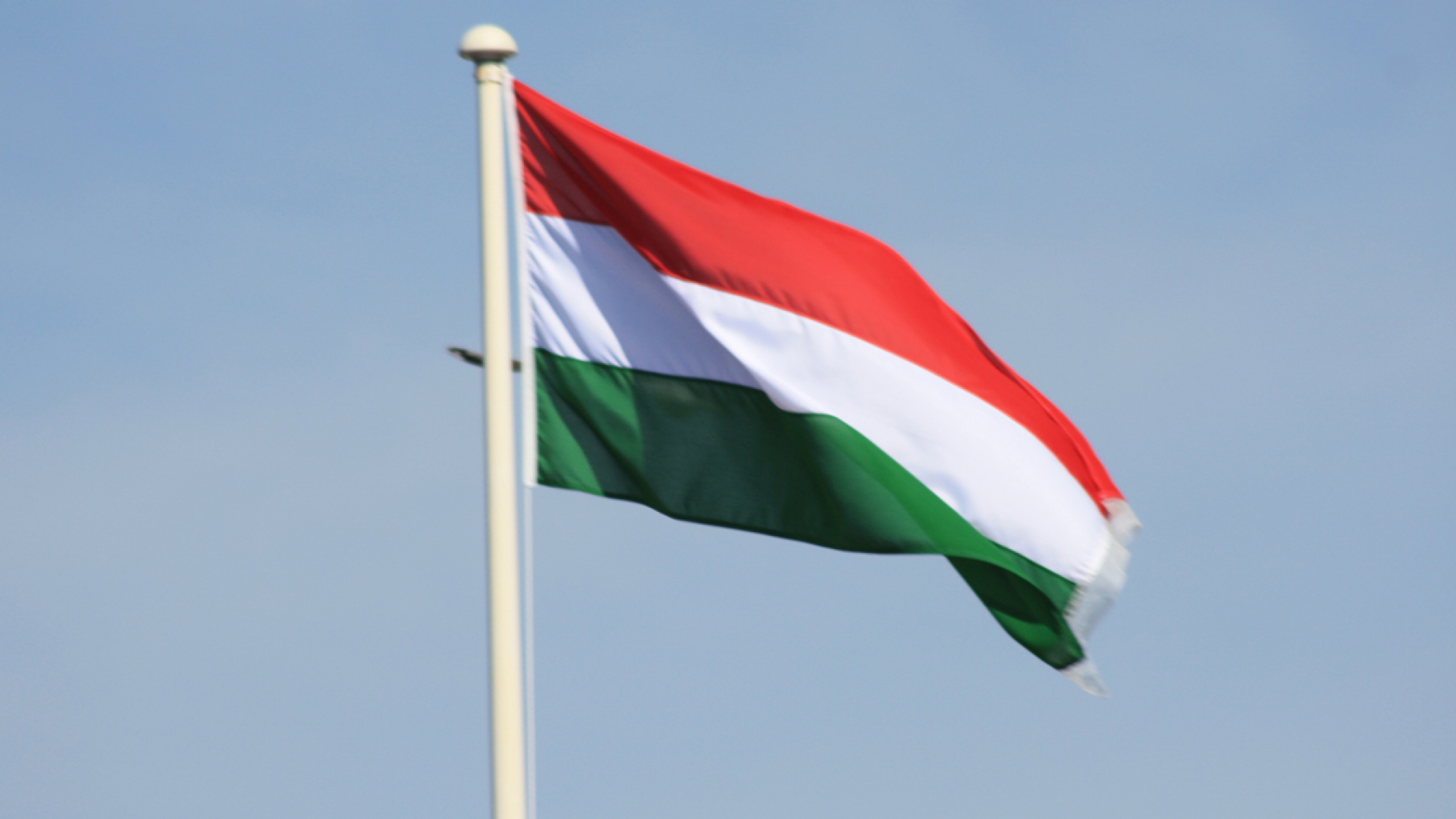 IAEA Expert Mission Reviews Hungary's Regulatory Framework for Nuclear ... IAEA Expert Mission Reviews Hungary's Regulatory Framework for Nuclear ...