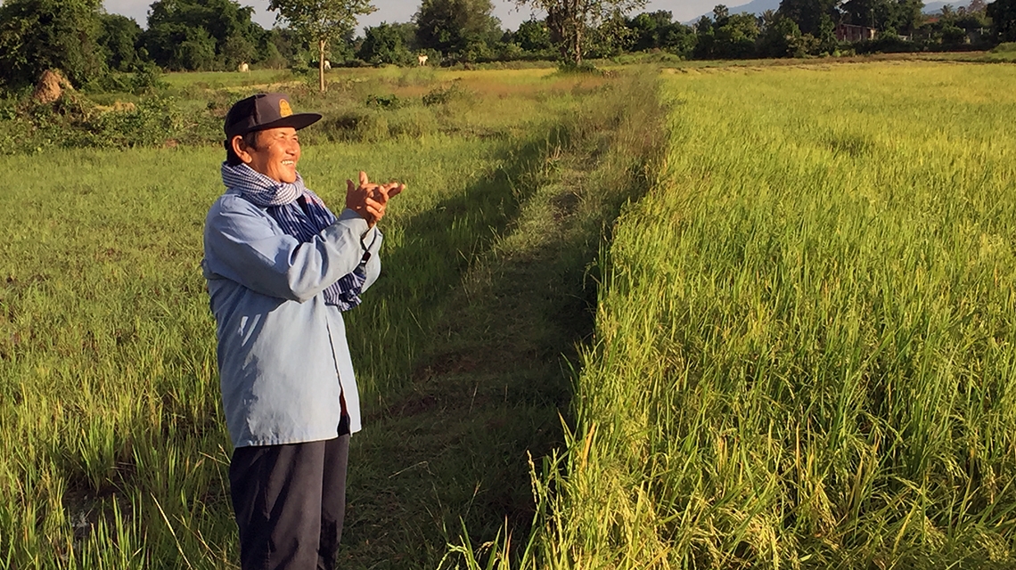 Cambodian Researchers Use Isotopic Technique to Help Farmers Increase ... Cambodian Researchers Use Isotopic Technique to Help Farmers Increase ...